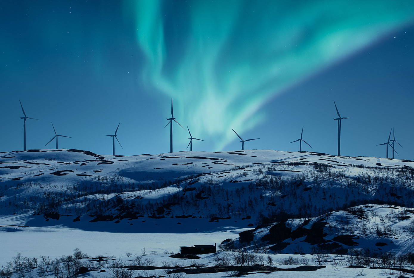 Hansen’s top line growth continues into FY25 — Hansen Technologies